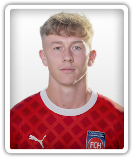 Hollenbach (Germany) - Football Manager 2024.3 - FM24.3 - FM2024.3